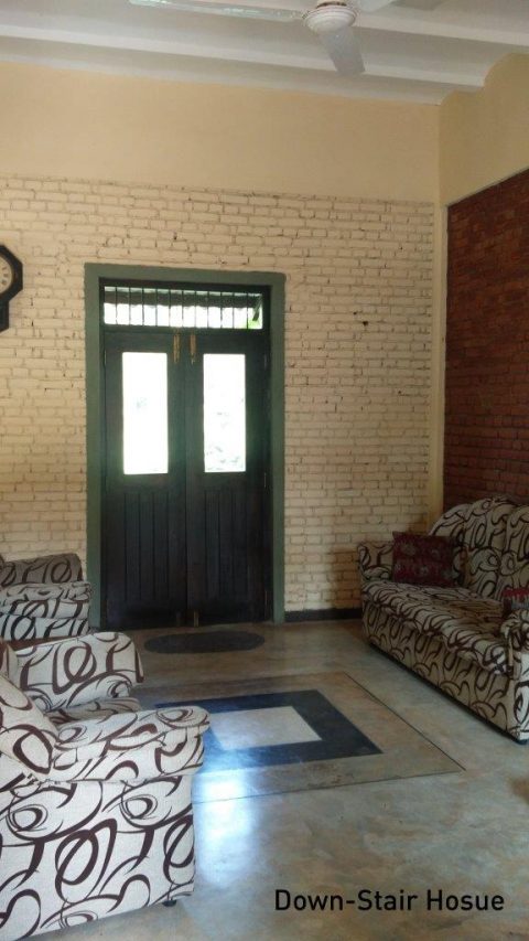 For Sale | The Pine Studio